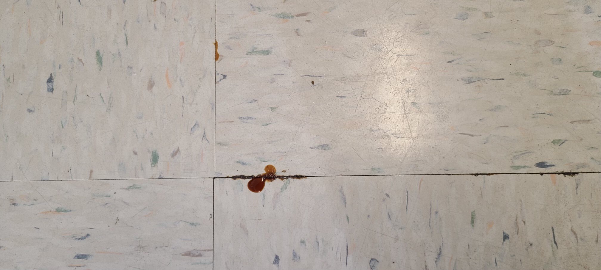 How Ionic Salts Contribute to Resinous Flooring Failure and How To ...